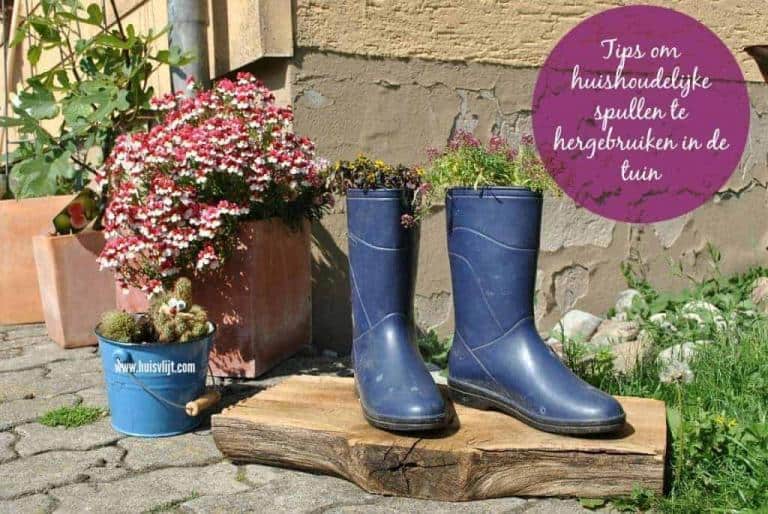 Sunlight zeep bij de AH en Jumbo voor maar 1,25 - Huisvlijt