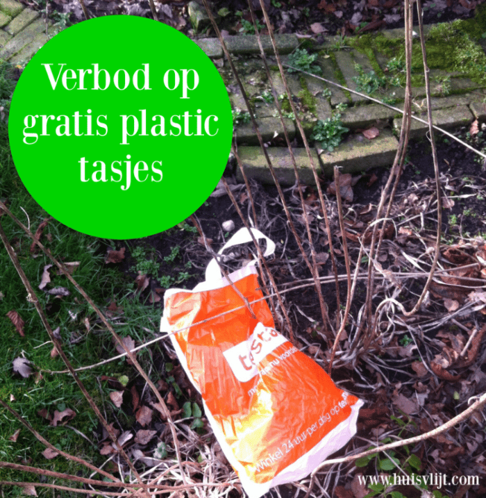 Bruin fruit: weet jij dat is? Tip: je kunt het frituren! - Huisvlijt