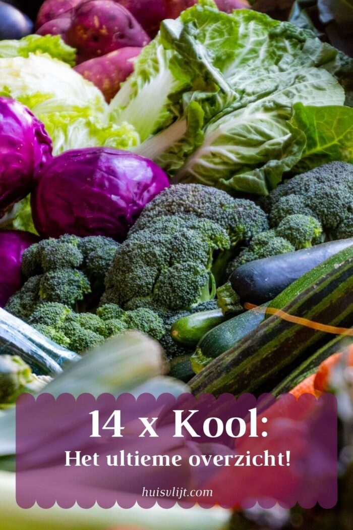 Kool: gezond, goedkoop en nog eens lokaal geproduceerd ook!