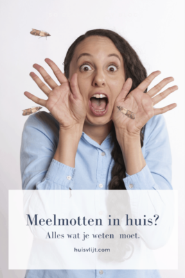 Meelmotten in huis? Zo kom je er van af! - Huisvlijt, huis, tuin en ...
