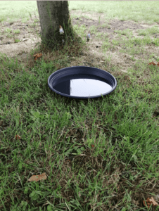 Vogelbad Action: bloempot schotel! - Huisvlijt