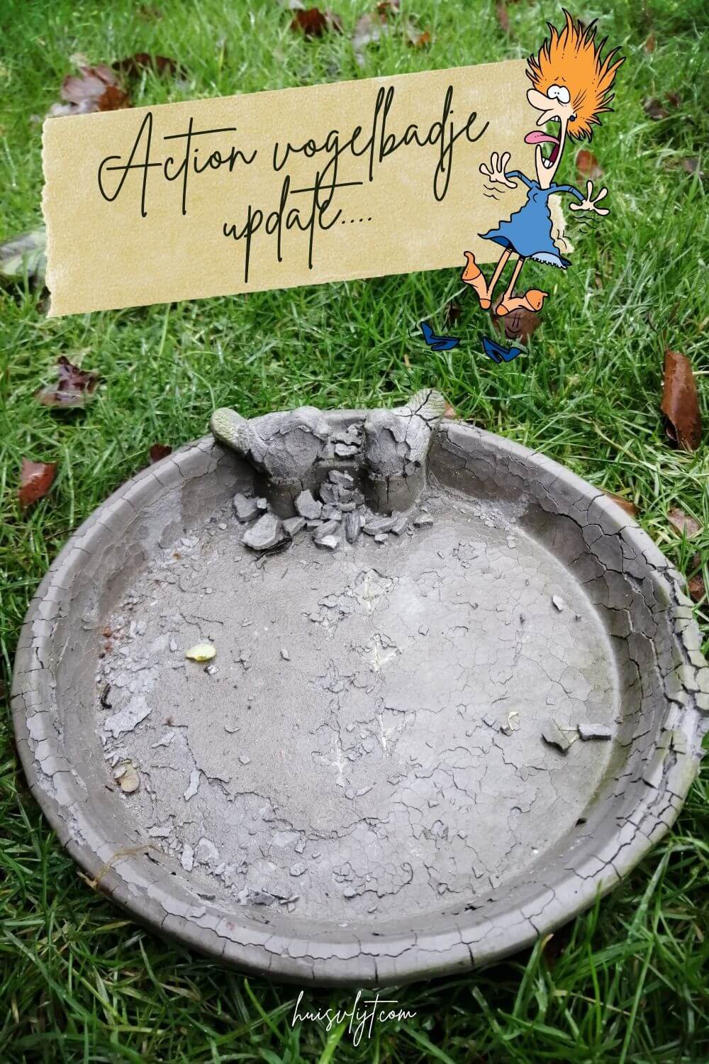 Vogelbadje Action! - Huisvlijt, huis, tuin en keuken blog