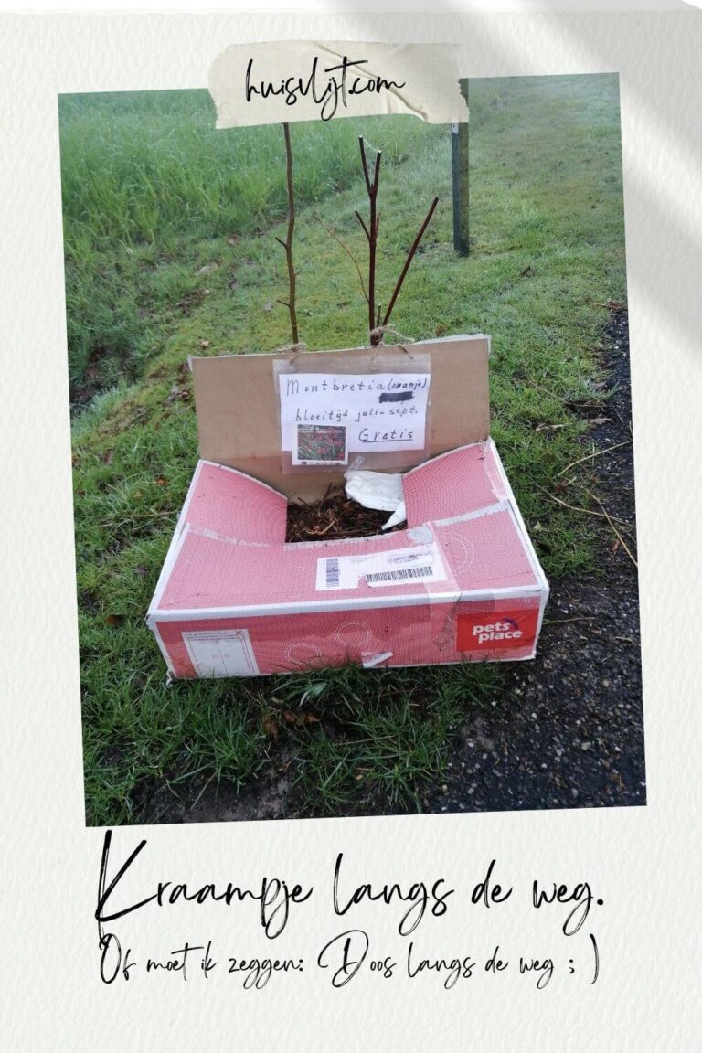 Kraampje langs de weg. Of moet ik zeggen: Doos? - Huisvlijt