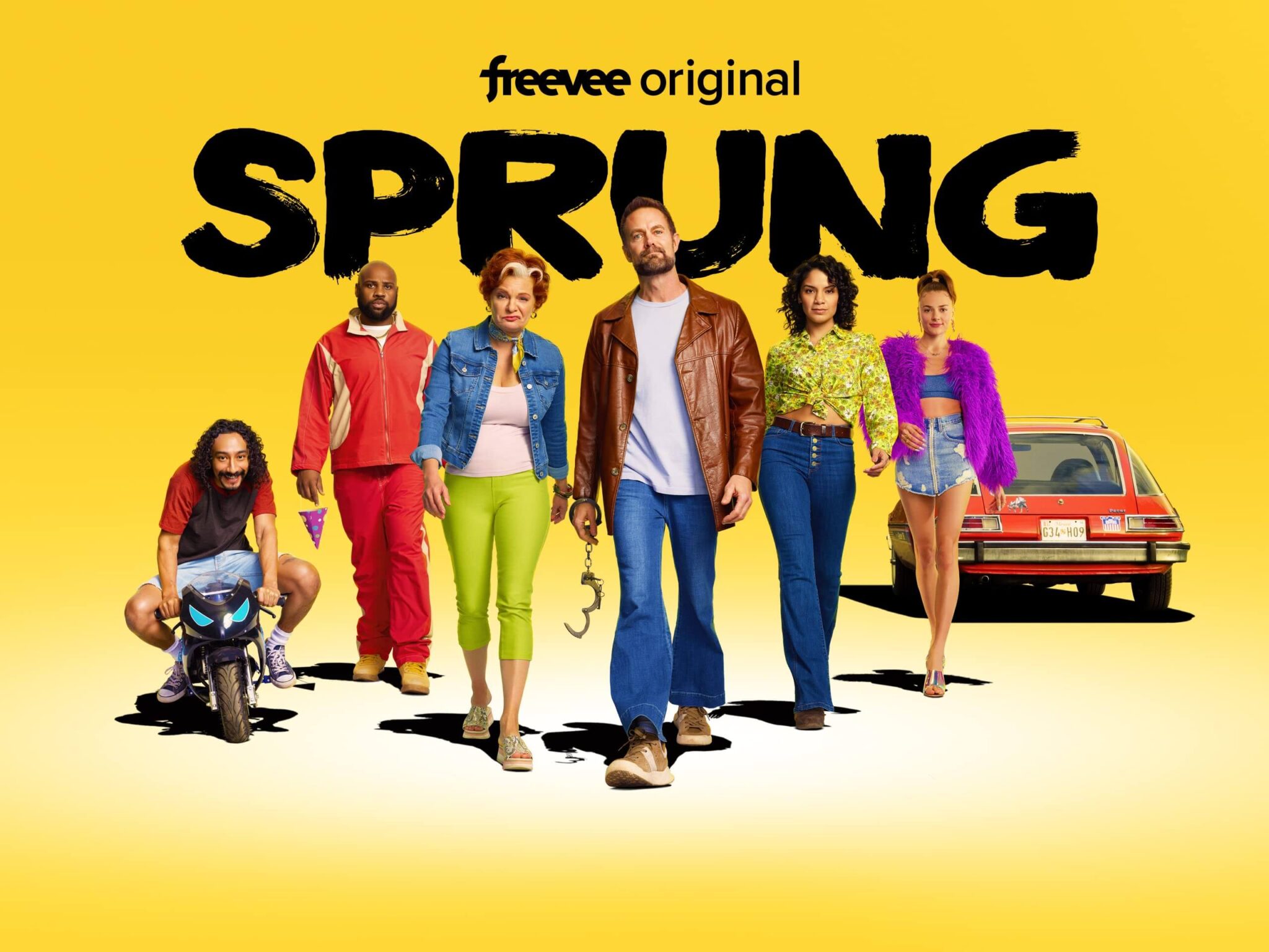 Serie Sprung 9 afleveringen plezier - Huisvlijt