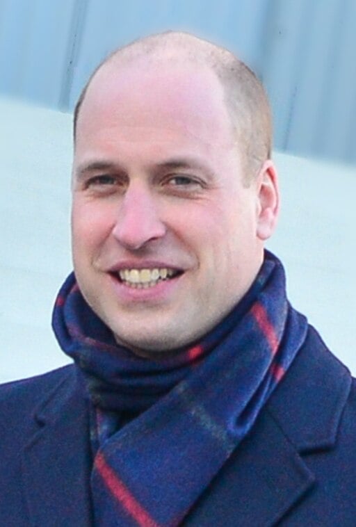 Prins Harry's boek Reserve review! - Huisvlijt