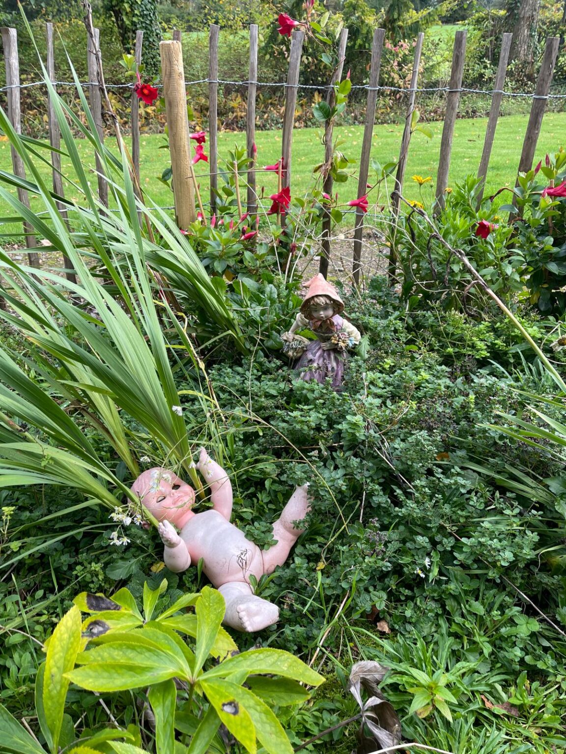 Waar schrikt ze van? - Huisvlijt